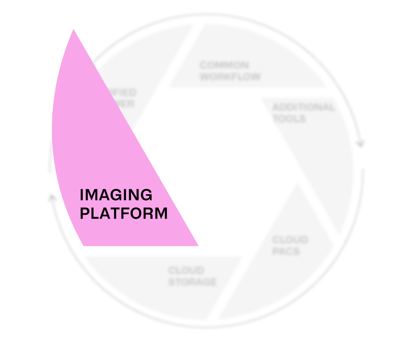 Enterprise Imaging | Merative