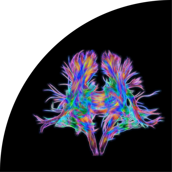 Merge Imaging Partner Innovations | Merative